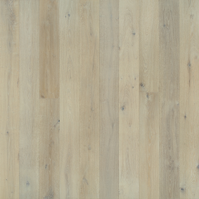 Cambria Oak Hardwood | Hallmark Floors