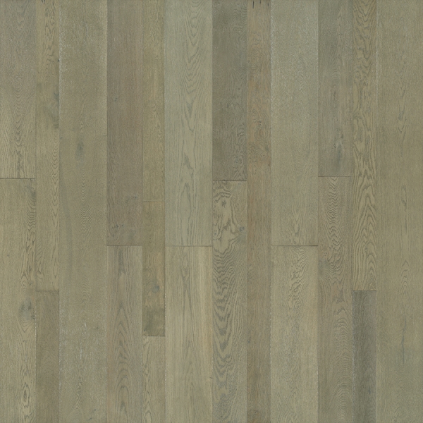 Cambria Oak Hardwood | Hallmark Floors