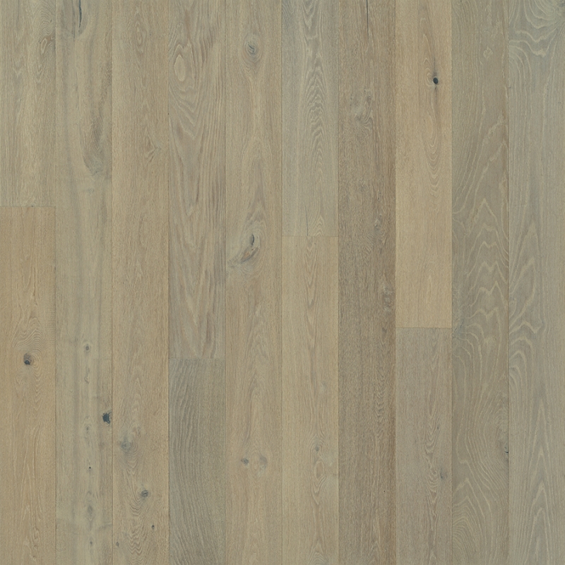 Cambria Oak Hardwood | Hallmark Floors